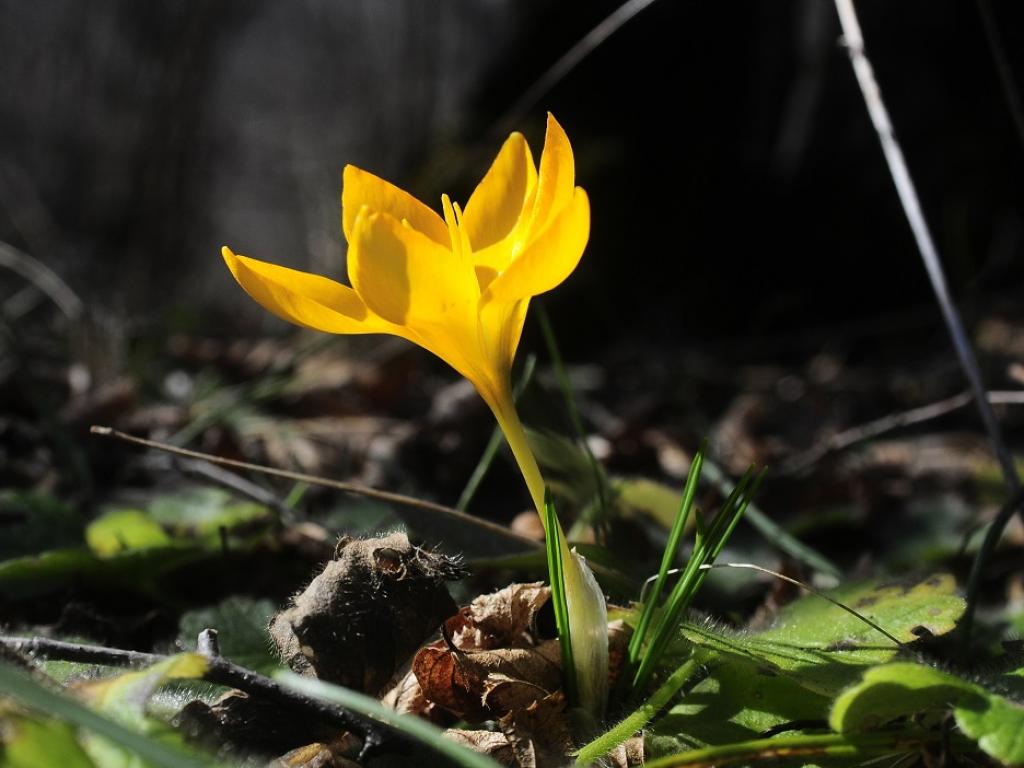 Топло време за началото на седмицата - България | Vesti.bg