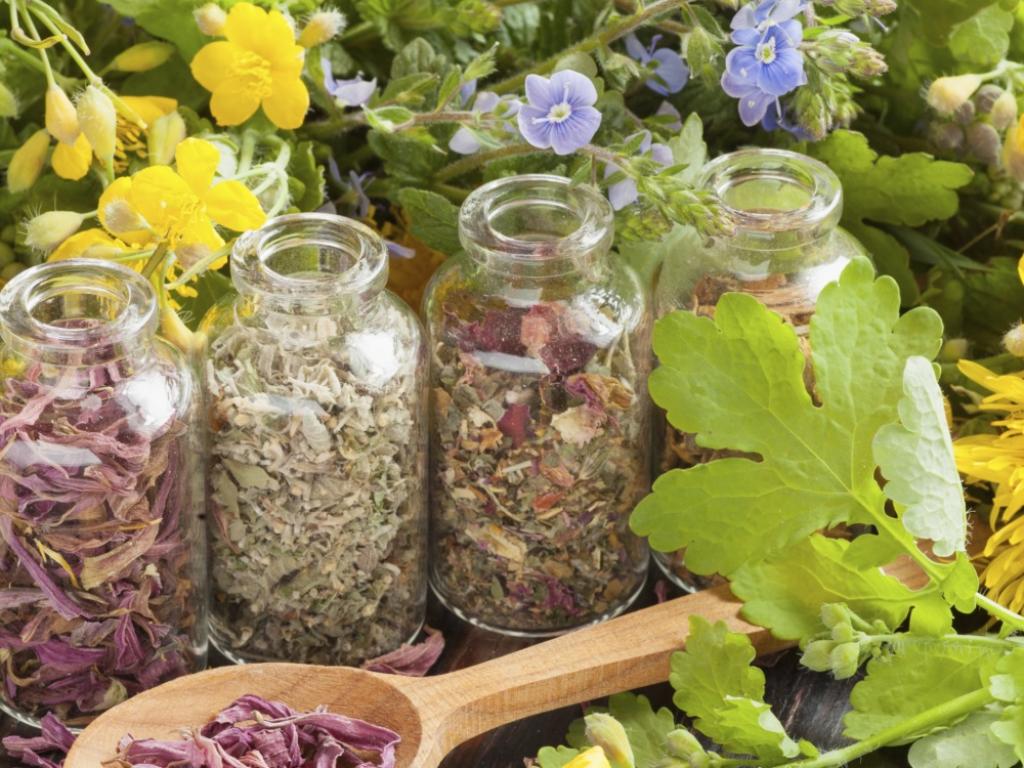 Еньовден е – денят на лечебните билки - България - Vesti.bg