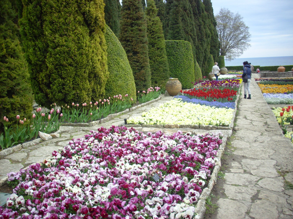 Парадът на лалетата радва посетителите на Ботаническата градина в ...