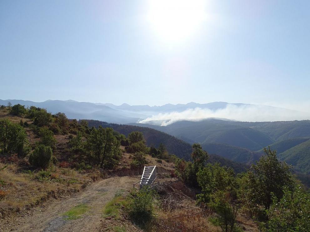 Пожарът тръгна към кресненското село Влахи, евакуираха хора|DarikNews.bg