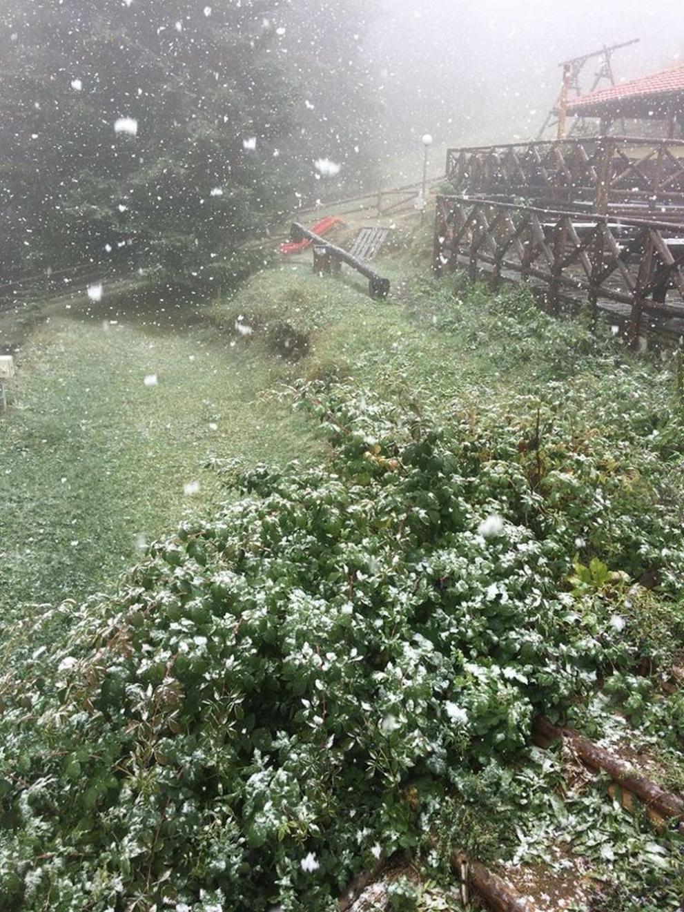 Сняг заваля в Родопите (СНИМКИ) - Фото