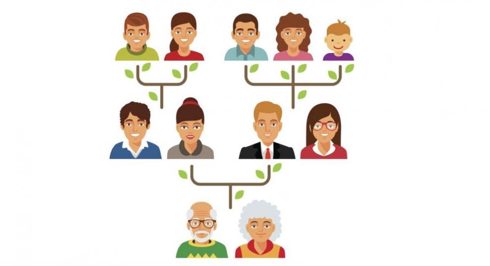 Учени съставиха родословно дърво с 13 милиона души - Любопитно ...