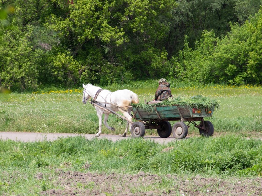 Протест срещу каруците по пътищата в Казанлък - България | Vesti.bg