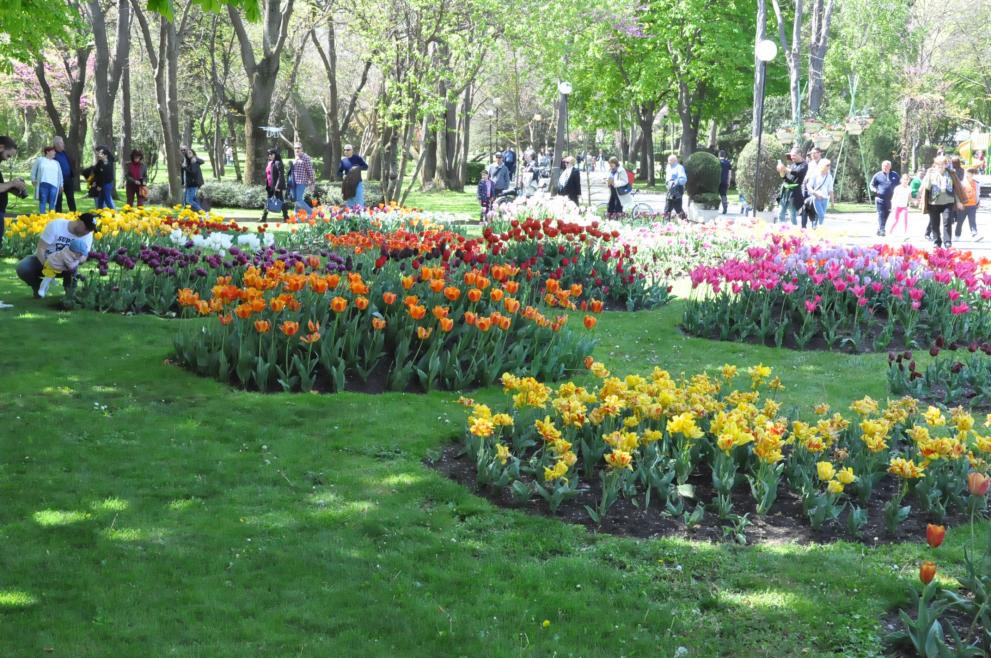 Откриха Флората (СНИМКИ)|DarikNews.bg