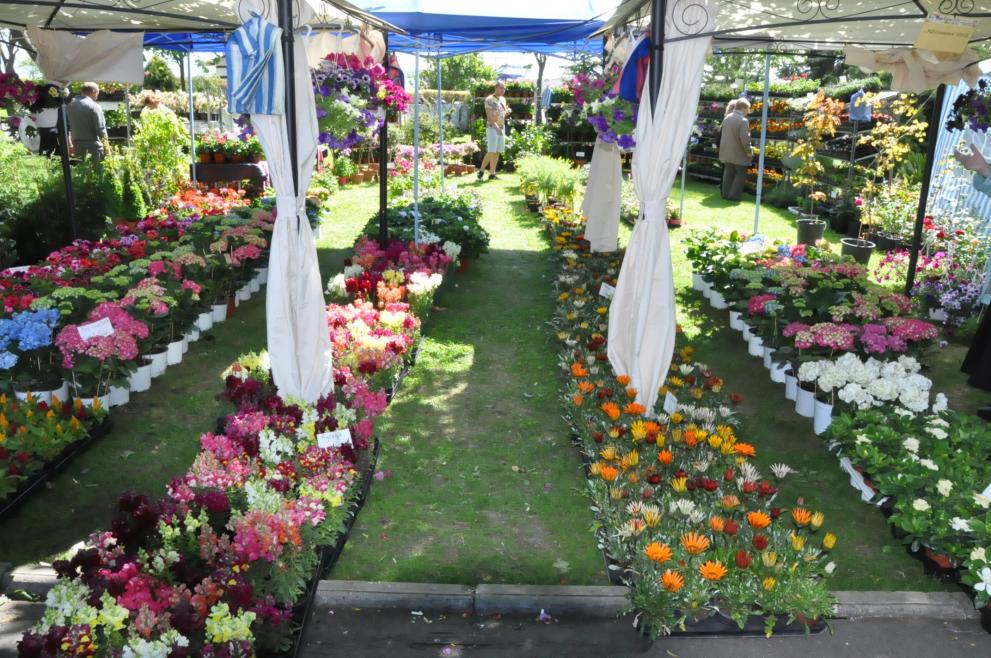 Откриха Флората (СНИМКИ)|DarikNews.bg