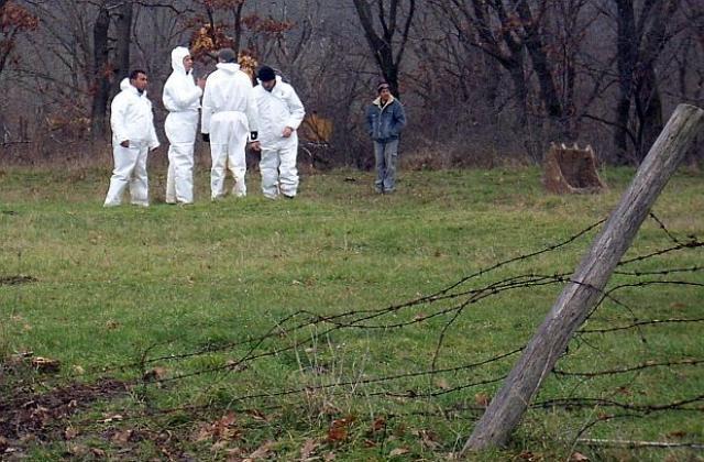 Ново огнище на на шап в община Средец | www.pariteni.bg