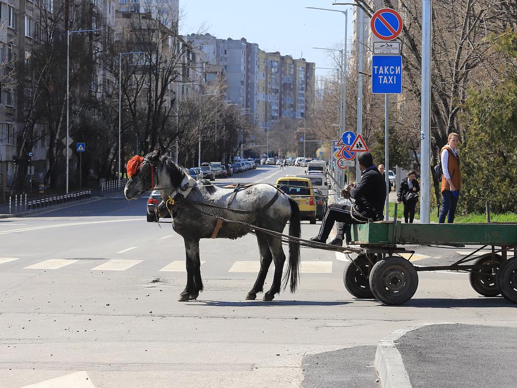 От днес в София влиза в сила забраната за движение на каруци - България ...