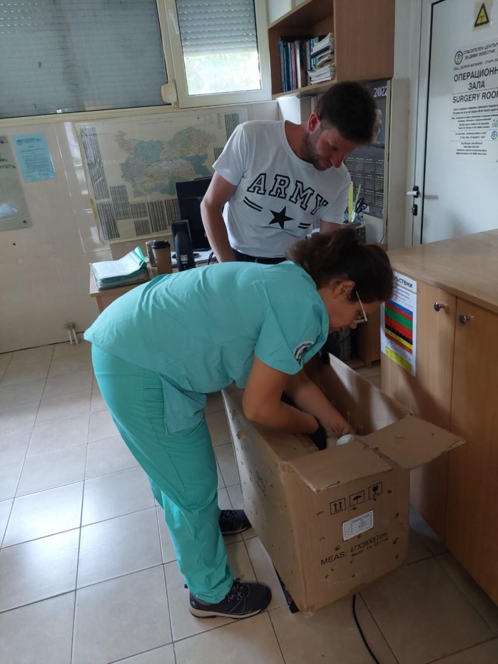 Доброто: Кмет спаси за пореден път бедстващ щъркел в Ракитово (СНИМКИ ...