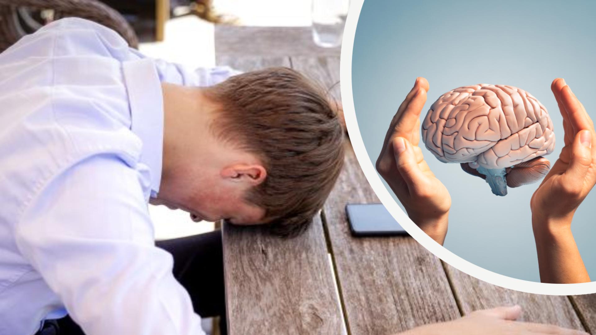 ГОВОРЯТ УЧЕНИТЕ: Хранителният режим може да повлияе стареенето на ...