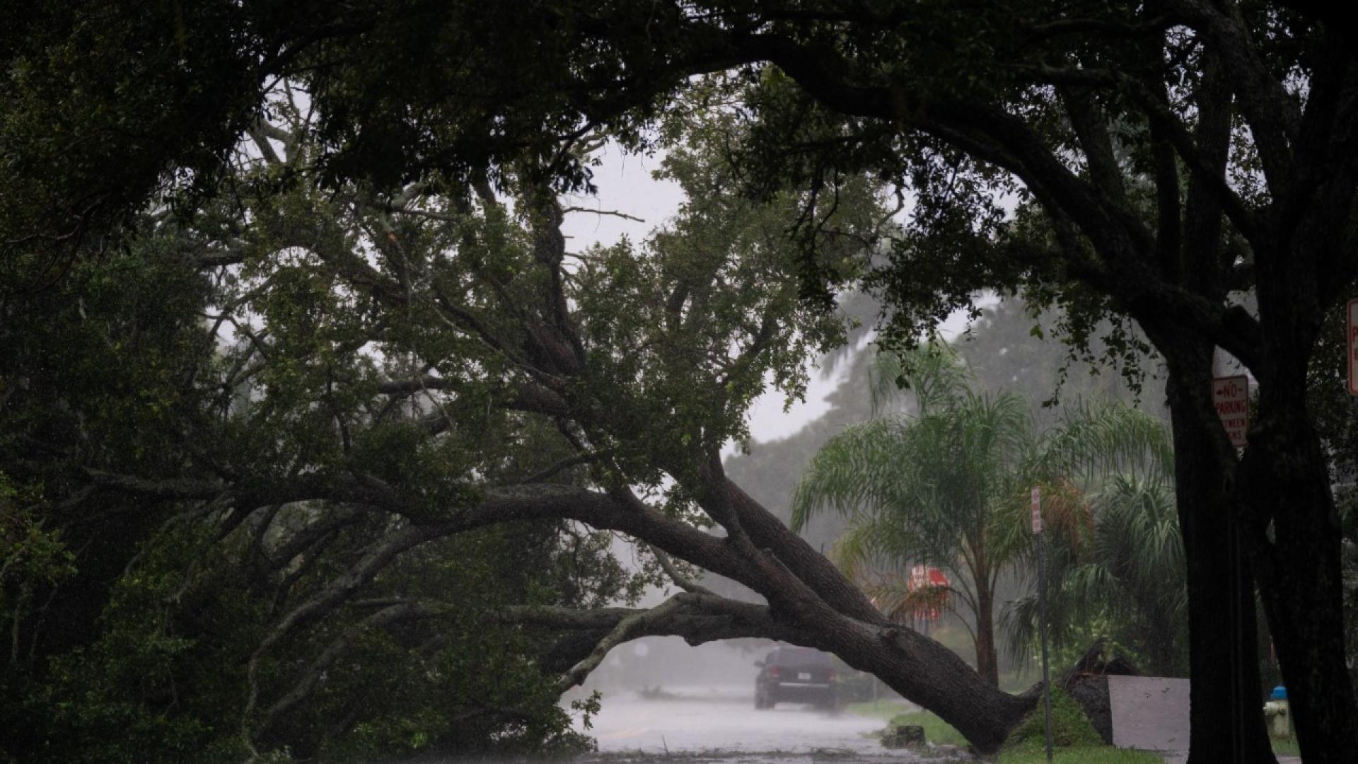 Проливни дъждове в Рио де Жанейро, жертвите са най-малко 11 - Свят ...