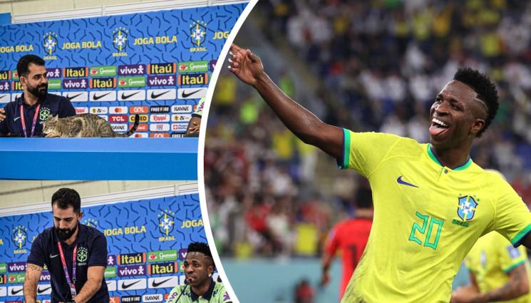 ВИЖТЕ КАК КОТКА СЕ ПРОСНА НА ПРЕСКОНФЕРЕНЦИЯ НА БРАЗИЛИЯ (ВИДЕО ...