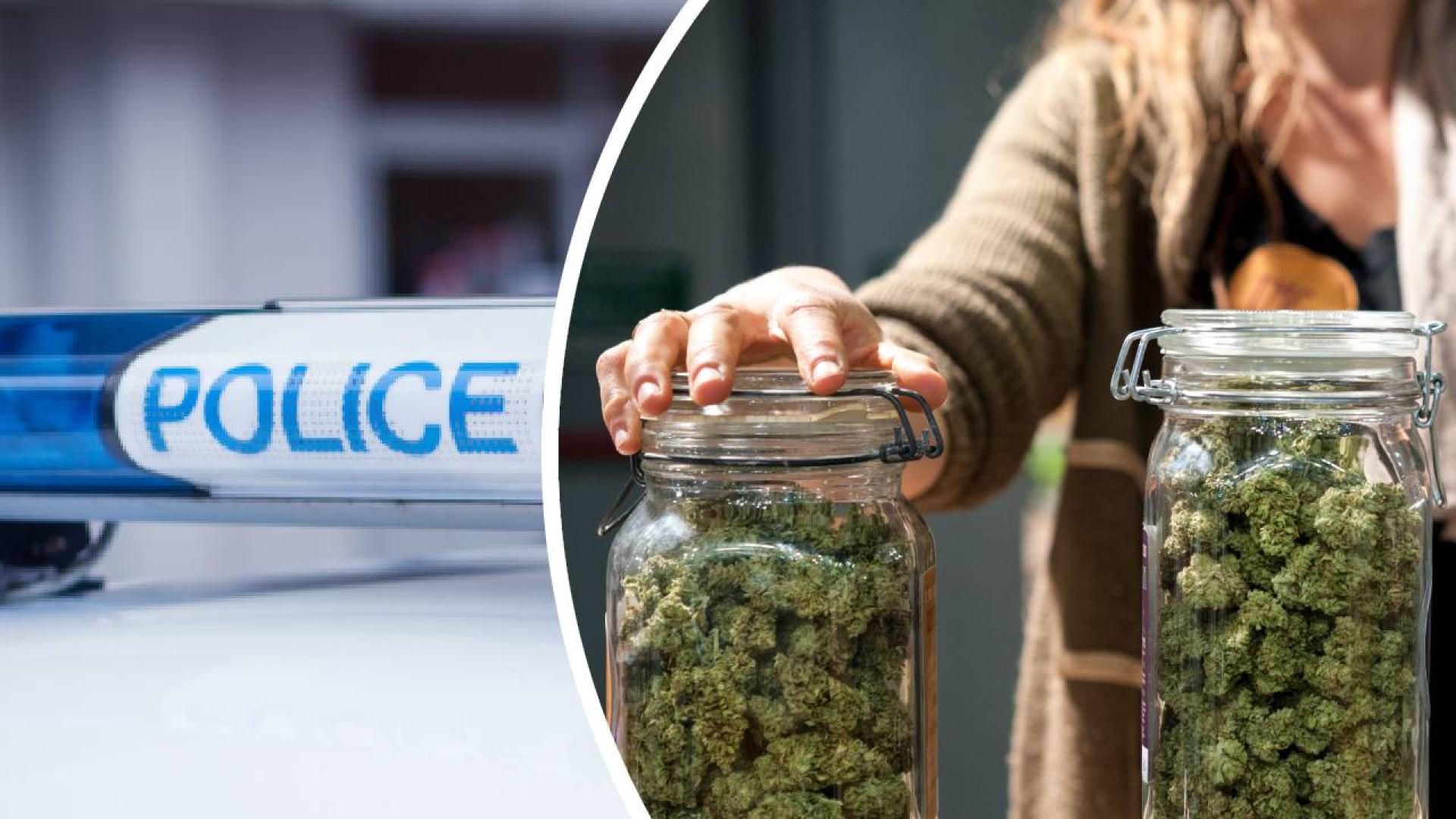 ЗИМНИНА: Собственичка на хотел заредила буркани с трева|Телеграф