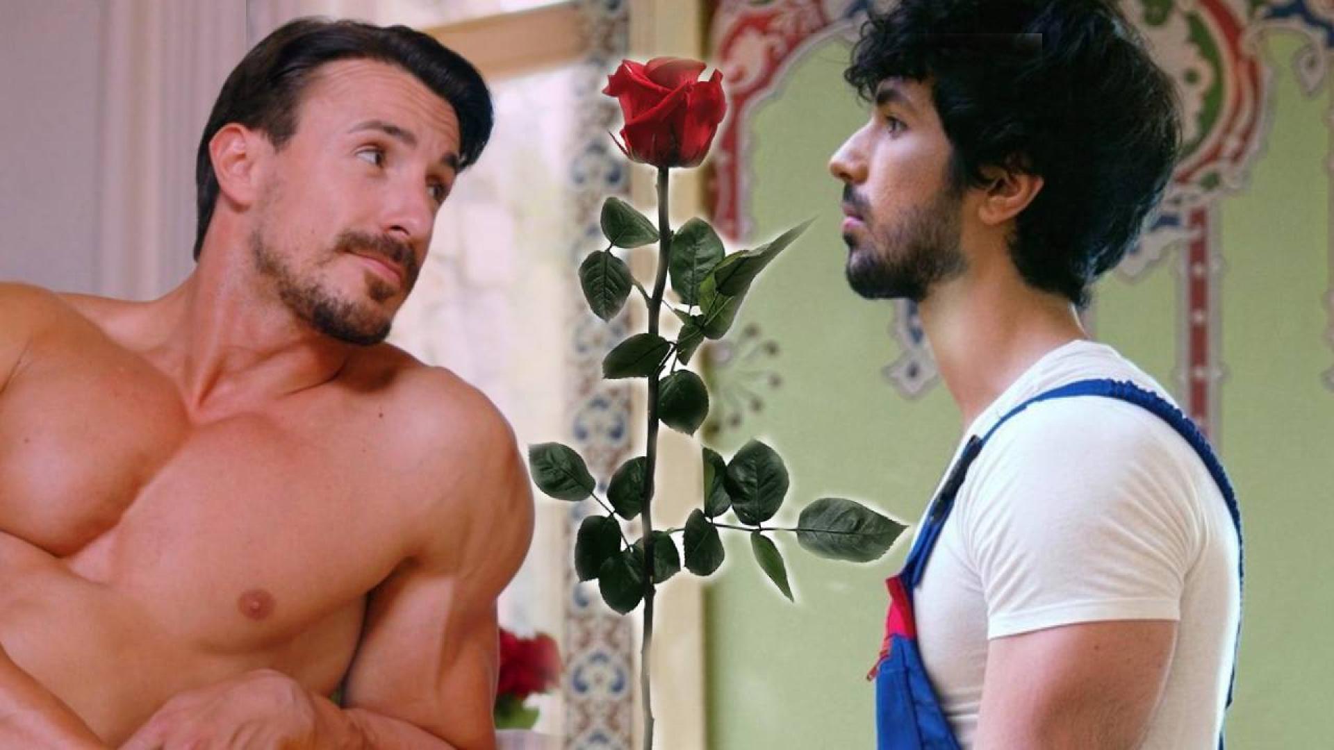 ВИП УСЛУГИ: Двамата ергени обслужвали чалгаджийка? (ВИДЕО) - Светски - Телеграф