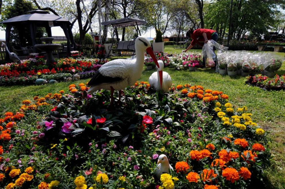 „Флора 2023“ превръща Бургас в град на цветята (СНИМКИ)|DarikNews.bg