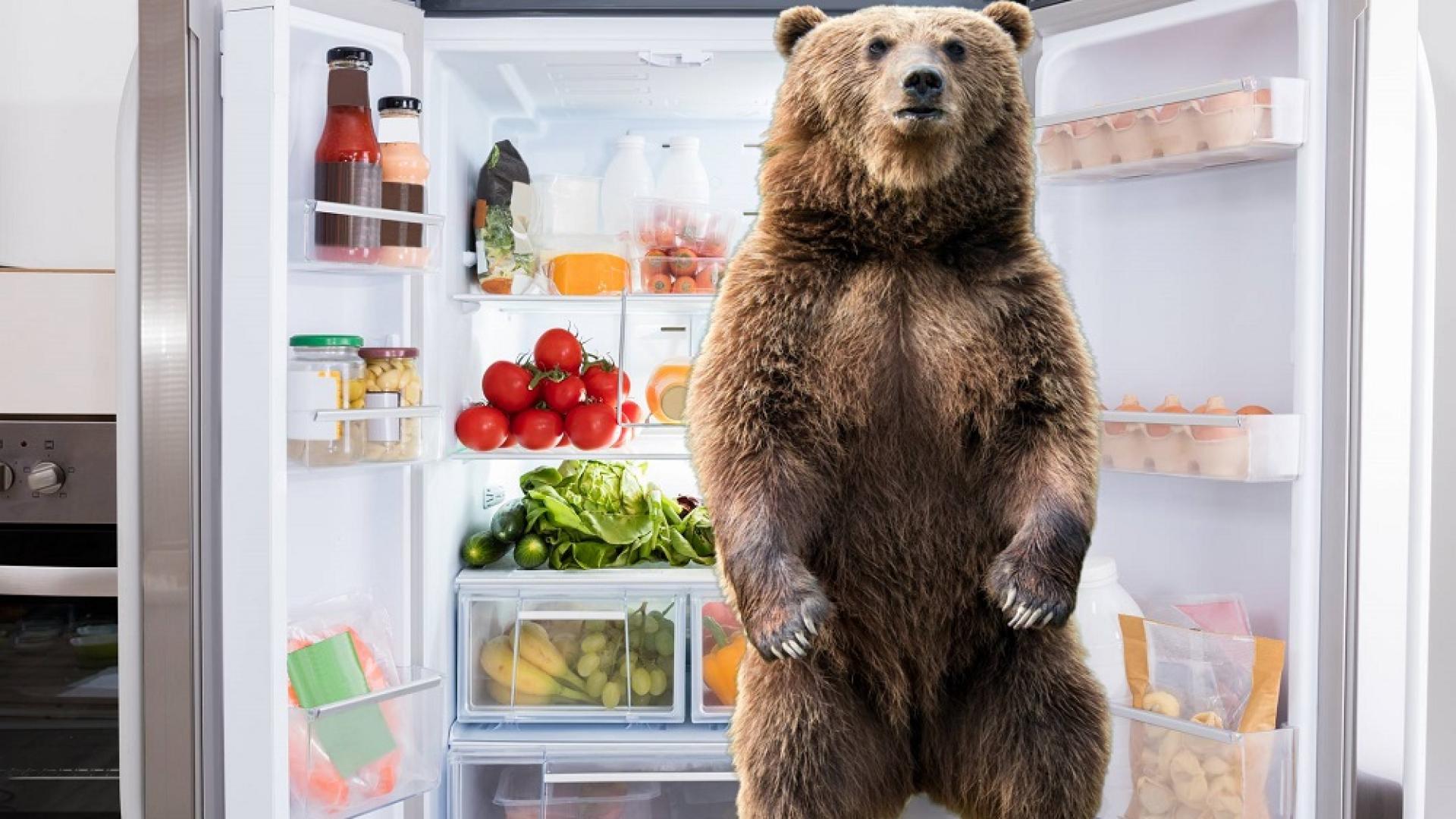НЕ СИ ТИ, КОГАТО СИ ГЛАДЕН! Мечка нахлу във вила и опустоши хладилник ...