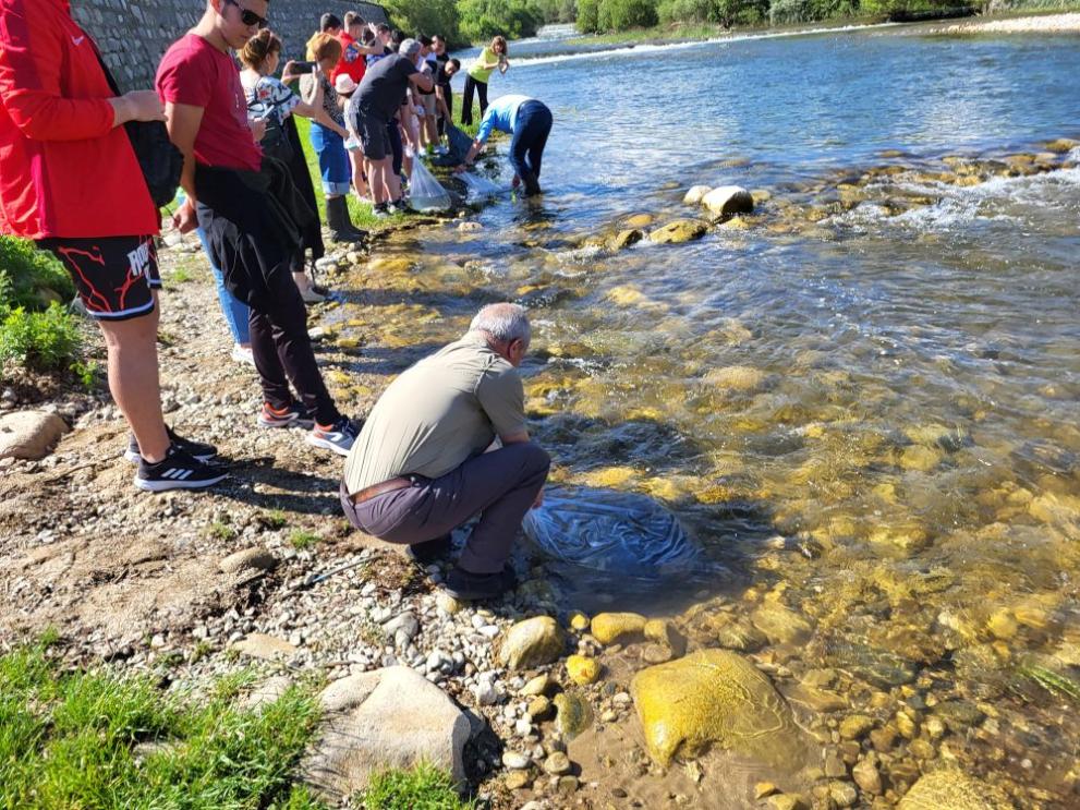 Река Искър в Самоков бе зарибена с около 8500 балкански пъстърви ...