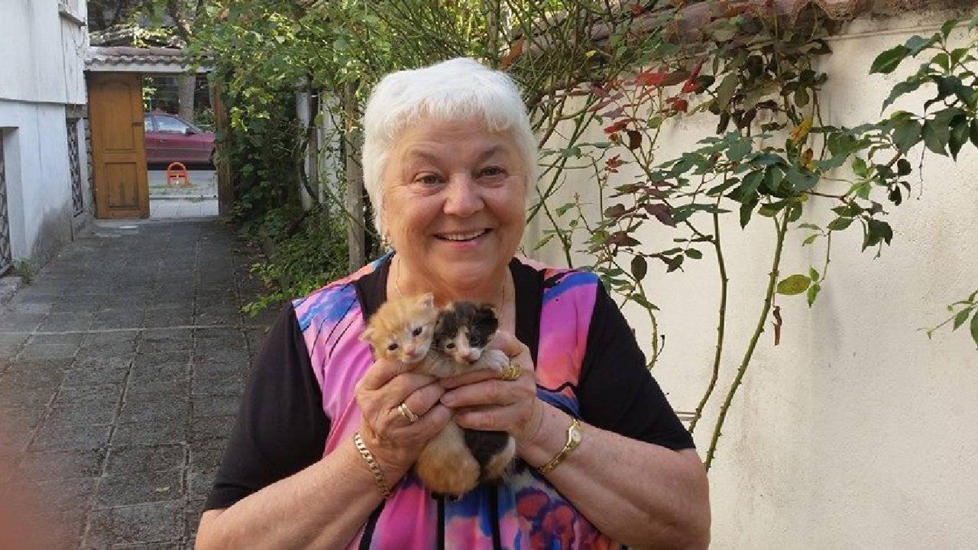 Момера лекува болни на конвейер (СНИМКИ)|Телеграф