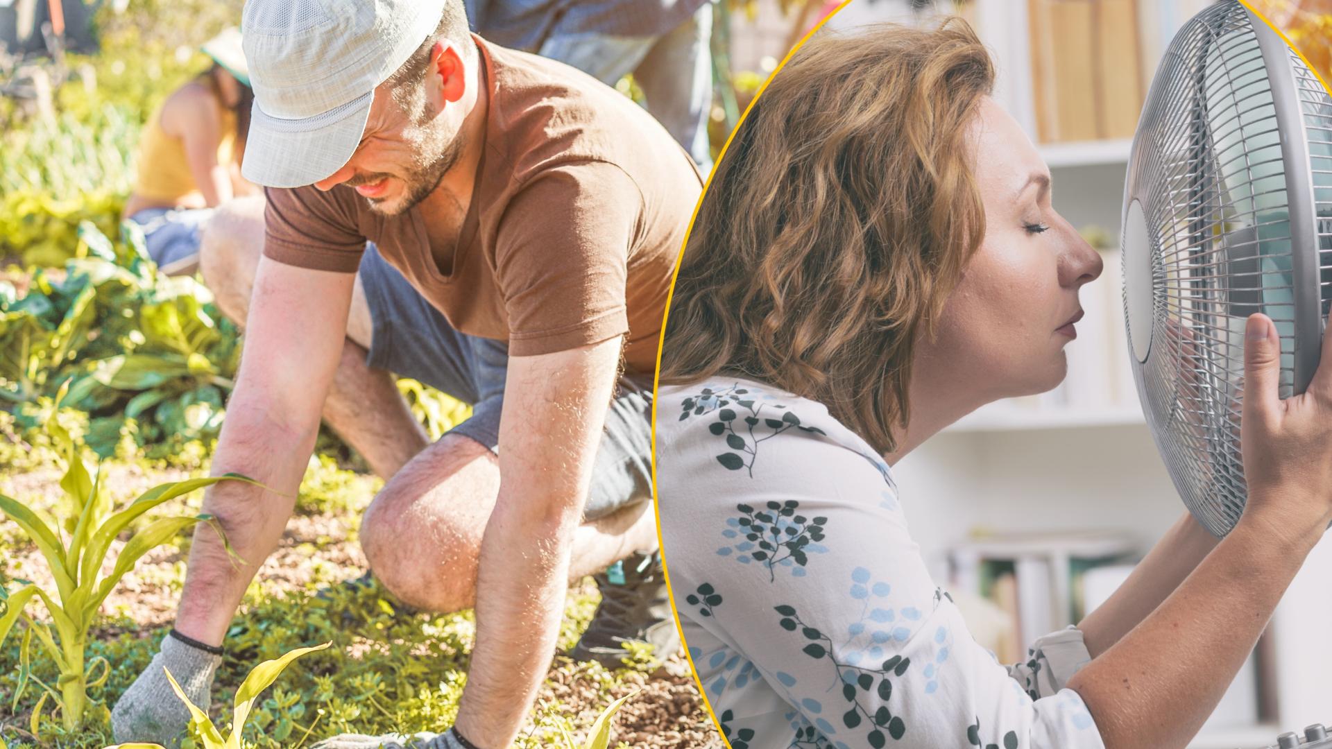 Викат инспектори за жега в офиса - България - Телеграф