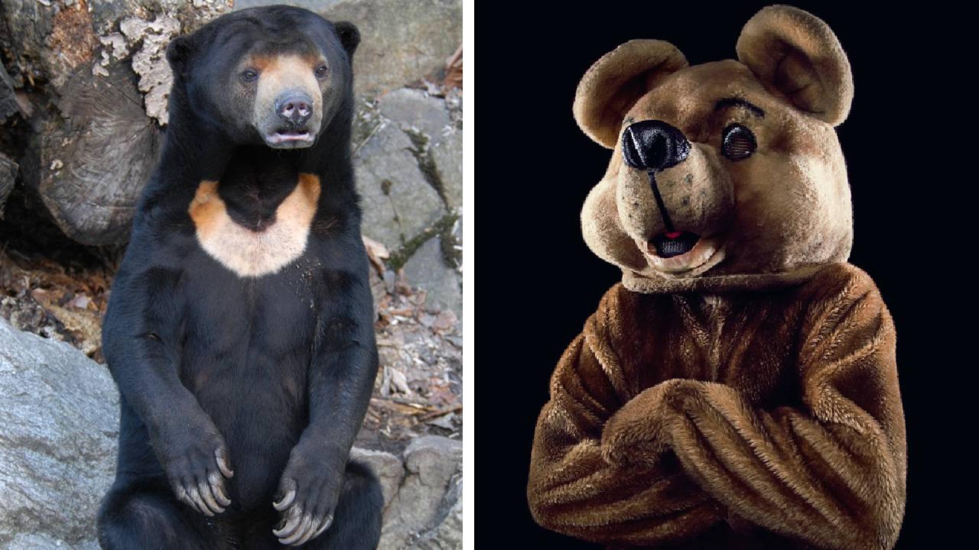 ФИЛМЪТ НЕ БИЛ ШВЕДСКИ, А СЪВЕТСКИ: Мъже се маскираха като мечки ...