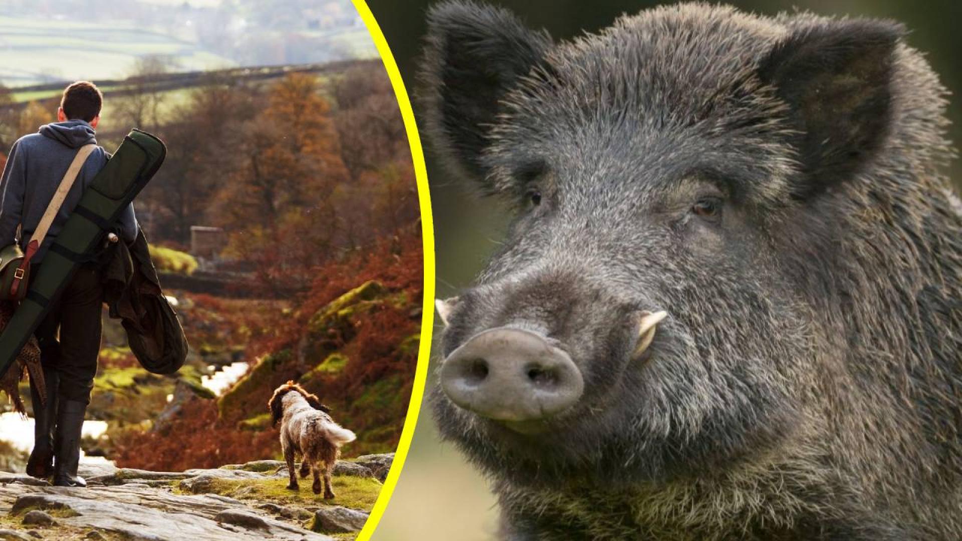 НАСЛУКА: Наздраве на вълшебния стрелец!|Телеграф