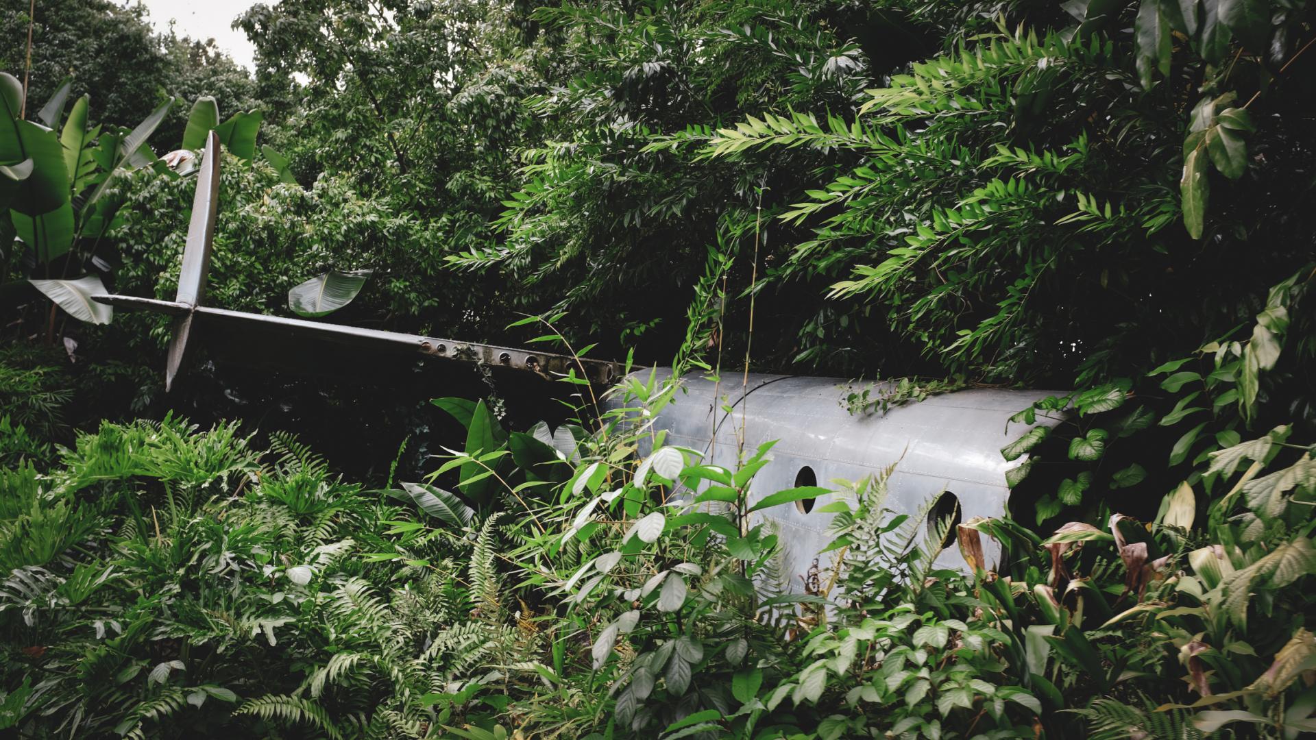 Проф. Овчаров се зарови в останки от военен самолет - Интересно - Телеграф