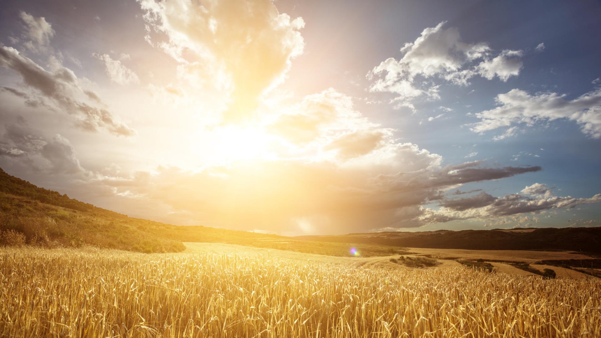 Държавата вдигна тройно обезщетенията за ниви|Телеграф