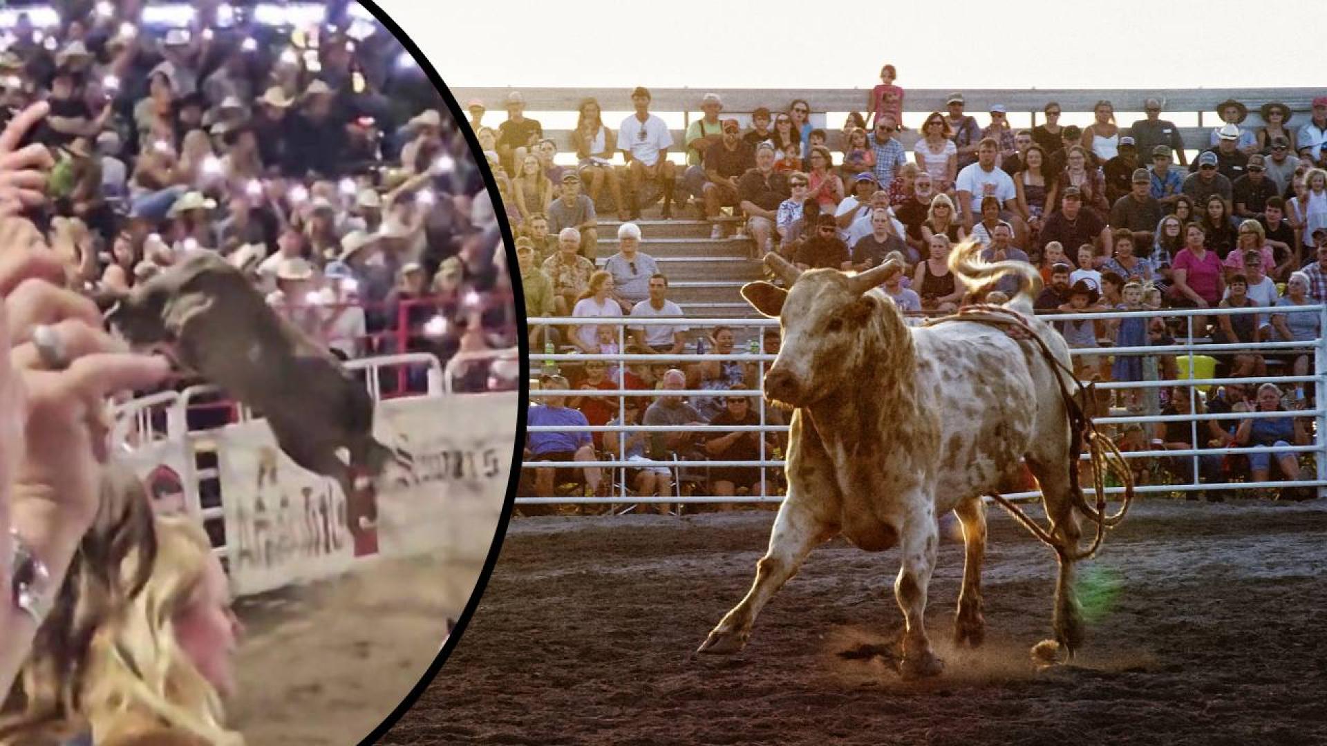 Бик размаза няколко души след скок в публика по време на родео! (ВИДЕО ...