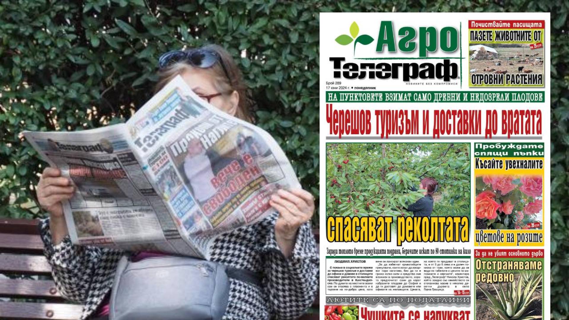 Ето какво ще откриете в новия брой на "Агро Телеграф"...|Телеграф