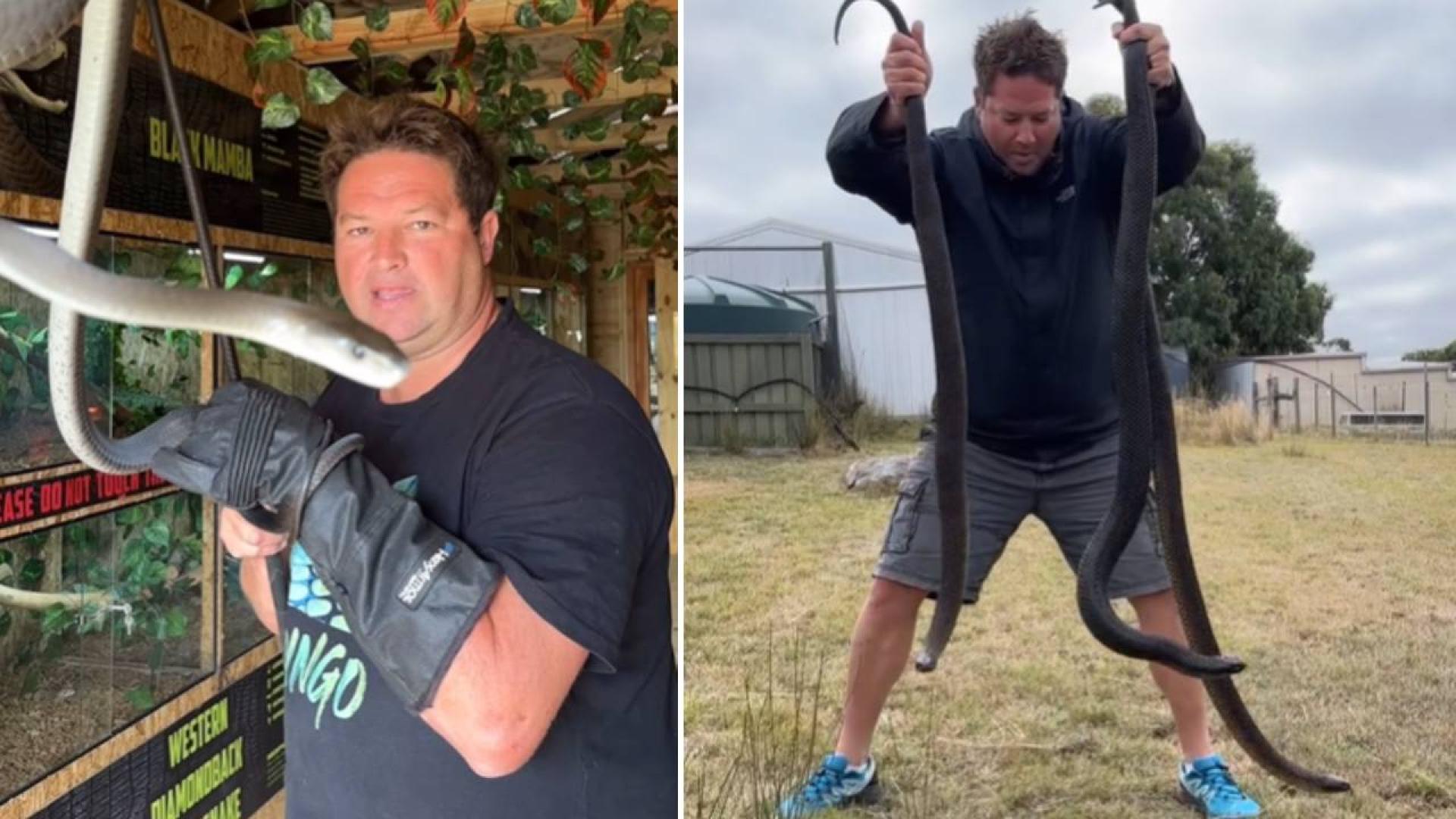 ТЪЖНО: “Южноафриканският Стив Ъруин“ почина след ухапване от змия|Телеграф