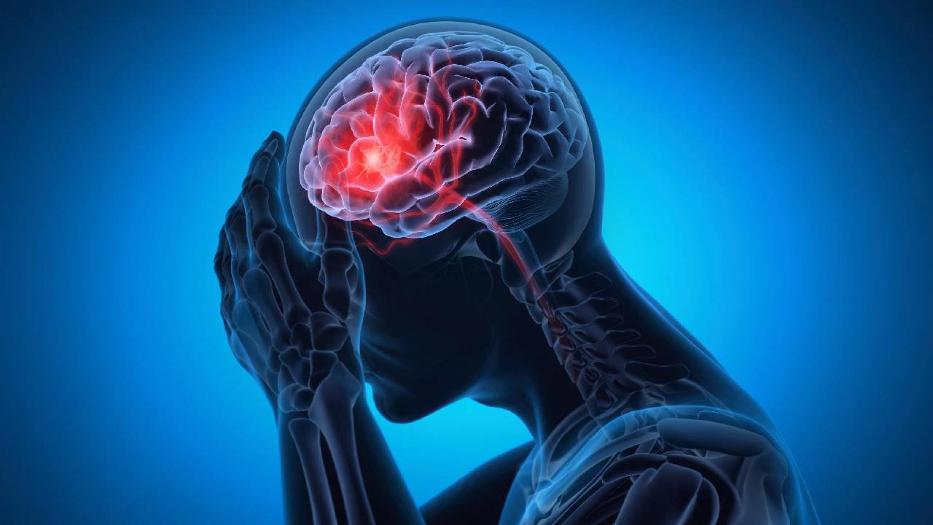 ГОВОРЯТ СПЕЦИАЛИСТИТЕ: Кога и как да чистим мозъка си?!|Телеграф