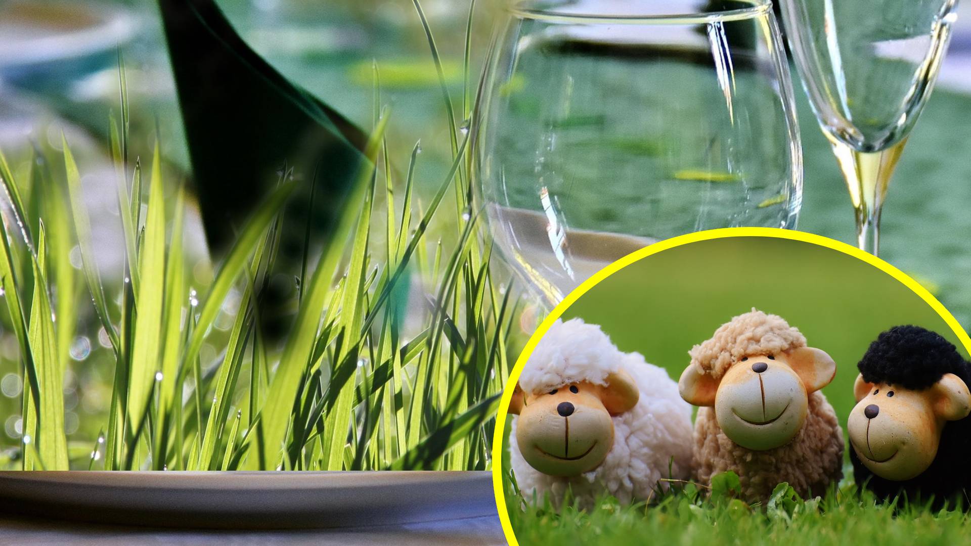 ЩЕ ПАСЕМ ТРЕВА: 60 т по-малко БГ агнешко на трапезата!|Телеграф