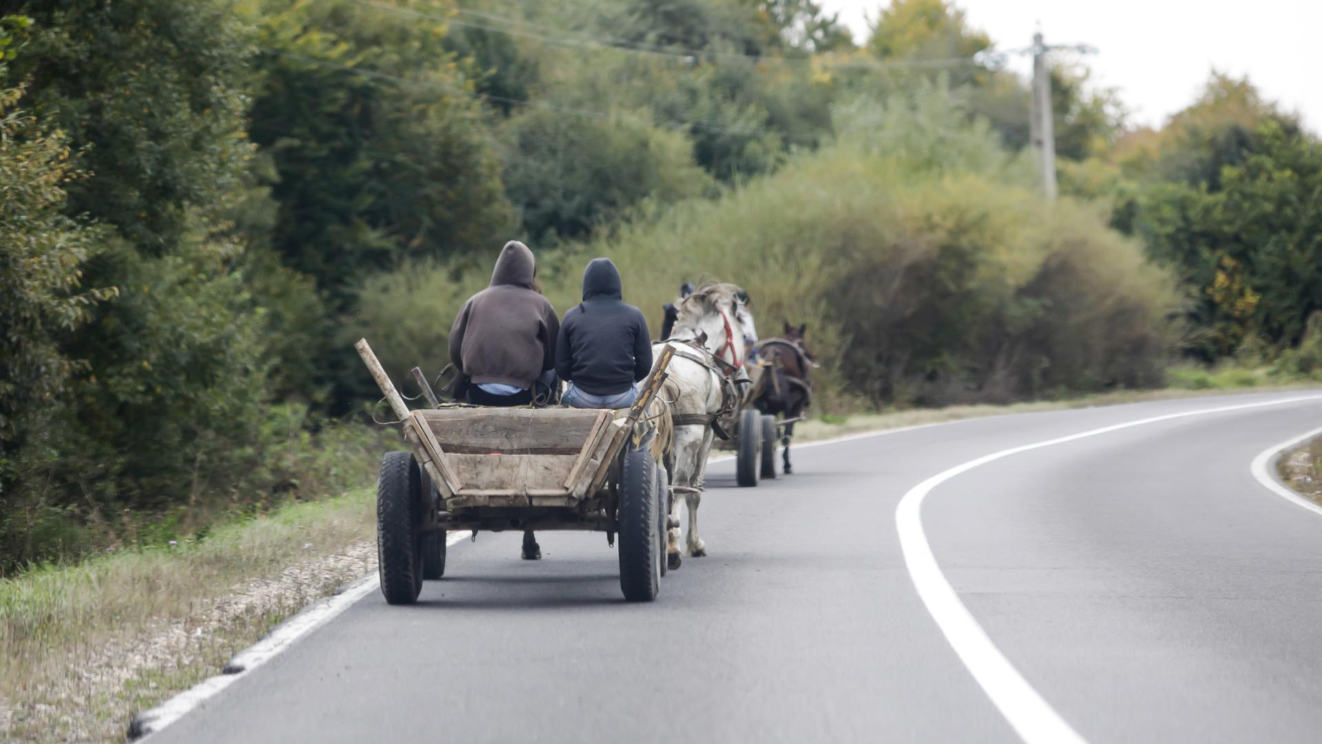 ДИВИЯ ЮГОЗАПАД: Каруца прати двама в Спешното - България - Телеграф