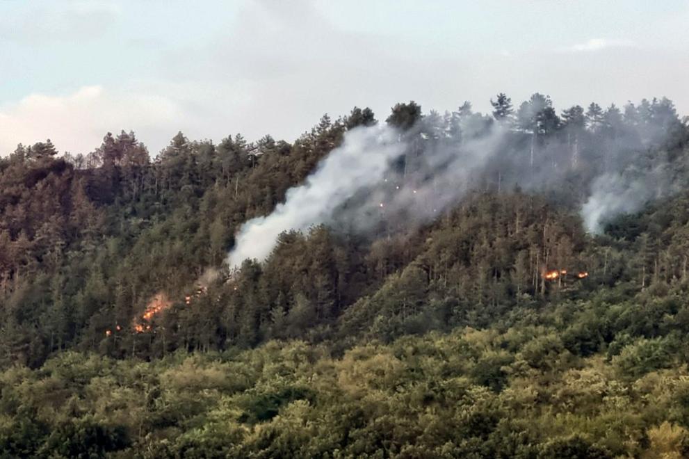 145 пожара в страната за ден, бушува огън между Мурсалево и Кочериново ...