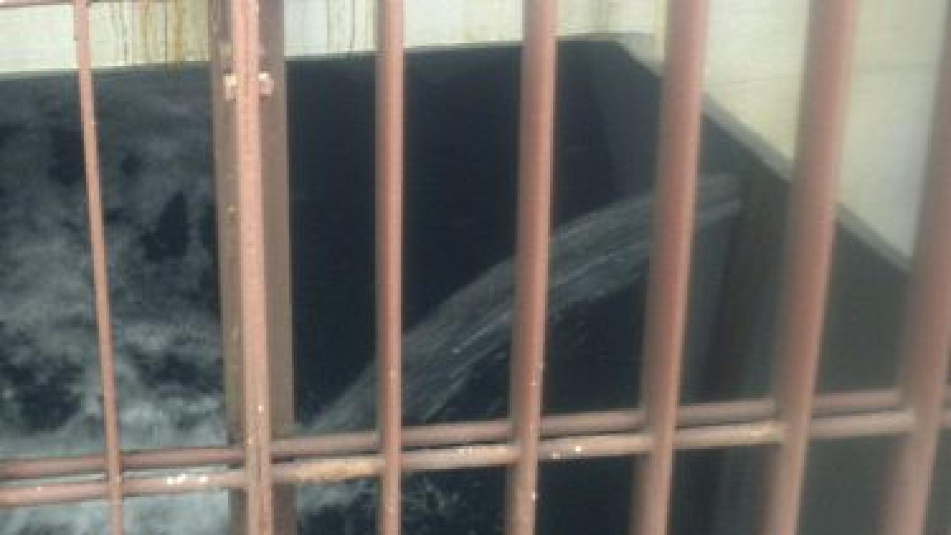 Япония ще излее радиоактивна вода в океана|Vesti.bg