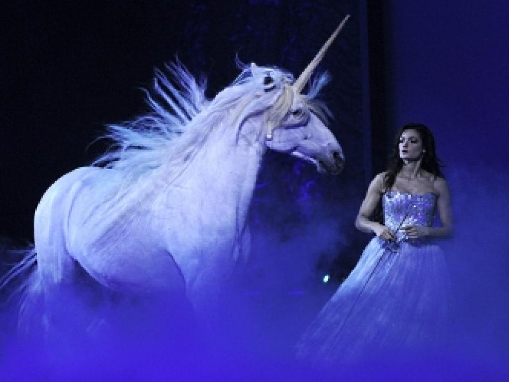 Ким Чен-ун и тайната на еднорога - Свят - Vesti.bg